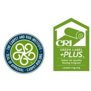 Powerteam Pro Canister w/Electric Power Nozzle - co888 – A Vacuum Store